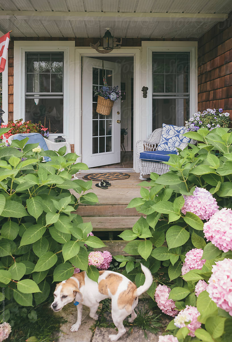 "Front Porch Of Country Style Rural Home With Pet Dog At Garden" by ...