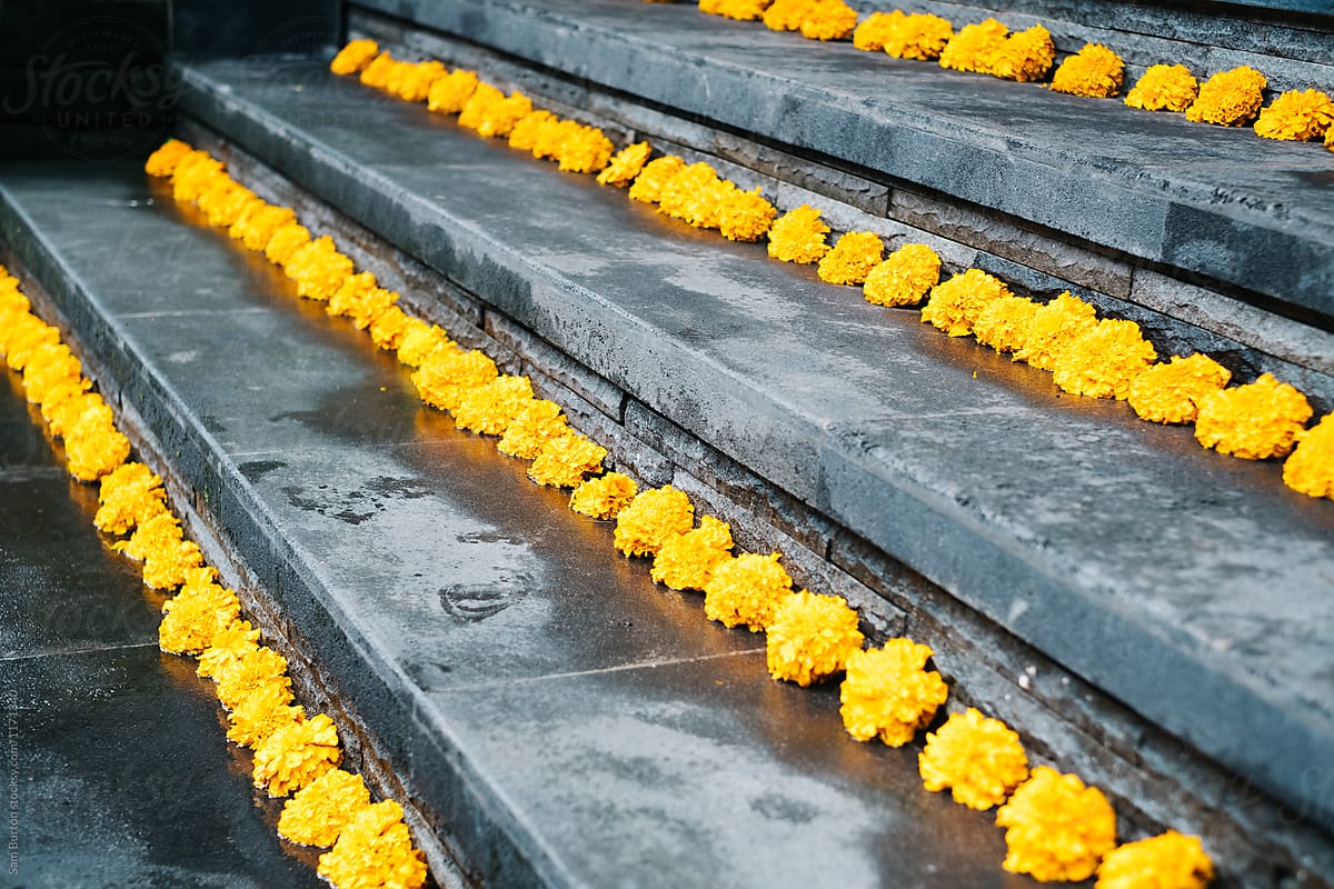 "Flowers On Steps" by Stocksy Contributor "Sam Burton" - Stocksy