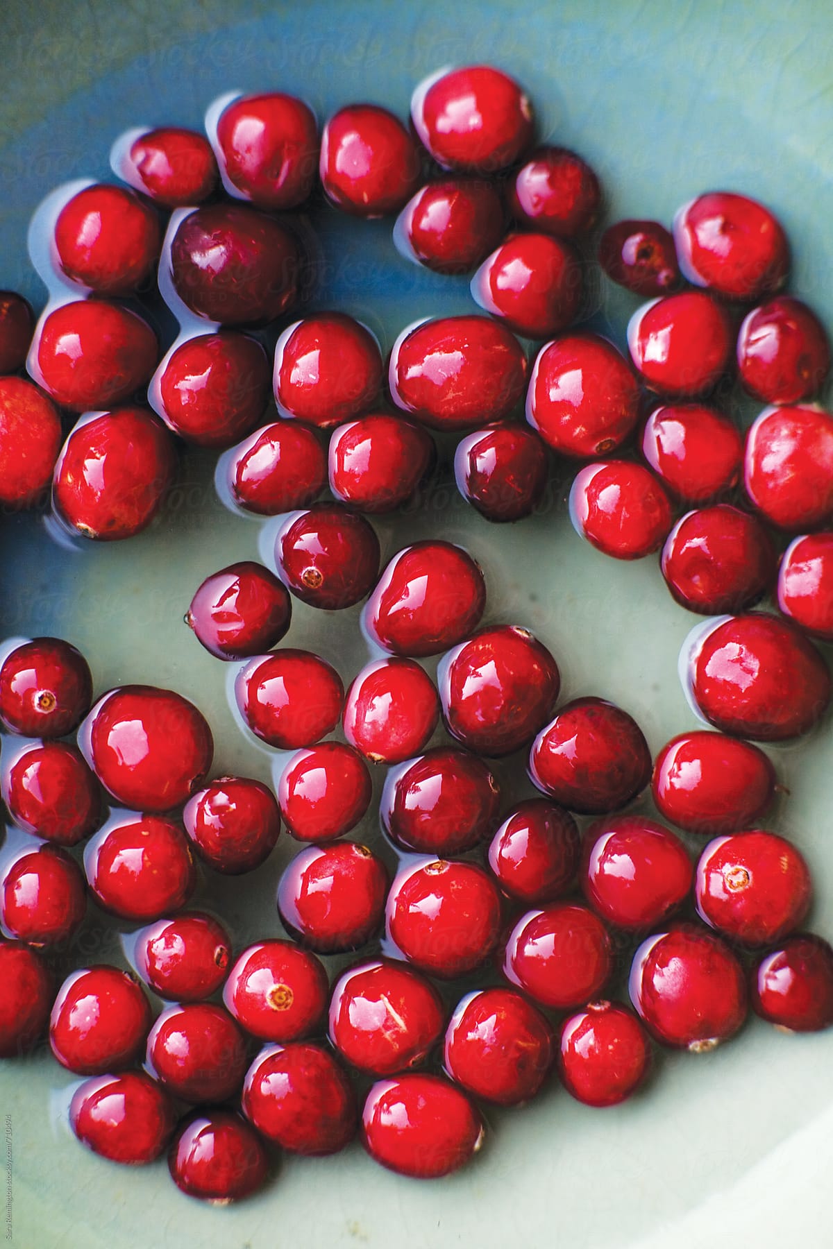 "Cranberries Soaking In Water" by Stocksy Contributor "Sara Remington ...