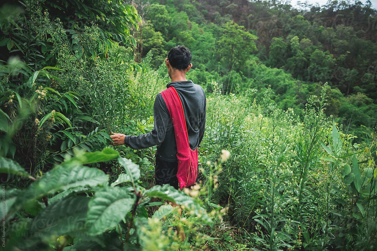 "Karen People In His Rotational Farming" by Stocksy Contributor "Chalit ...