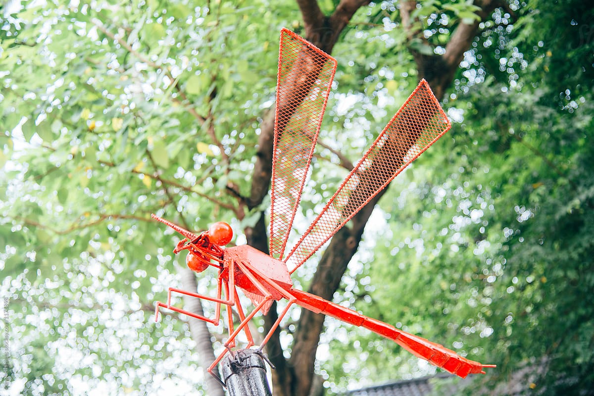 "Steel Dragonfly" by Stocksy Contributor "Pansfun Images" - Stocksy