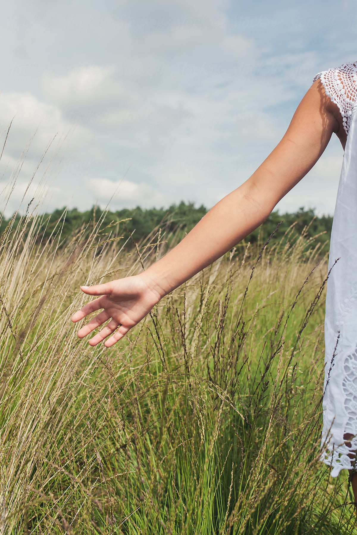"Hand Of A Little Girl In A Field With Long Grass In The Summer" by ...