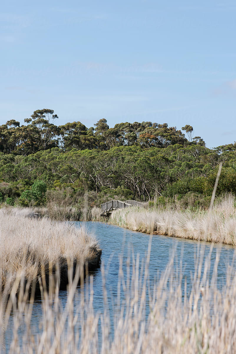 "Winding Lake" by Stocksy Contributor "JOANNA NIXON" - Stocksy