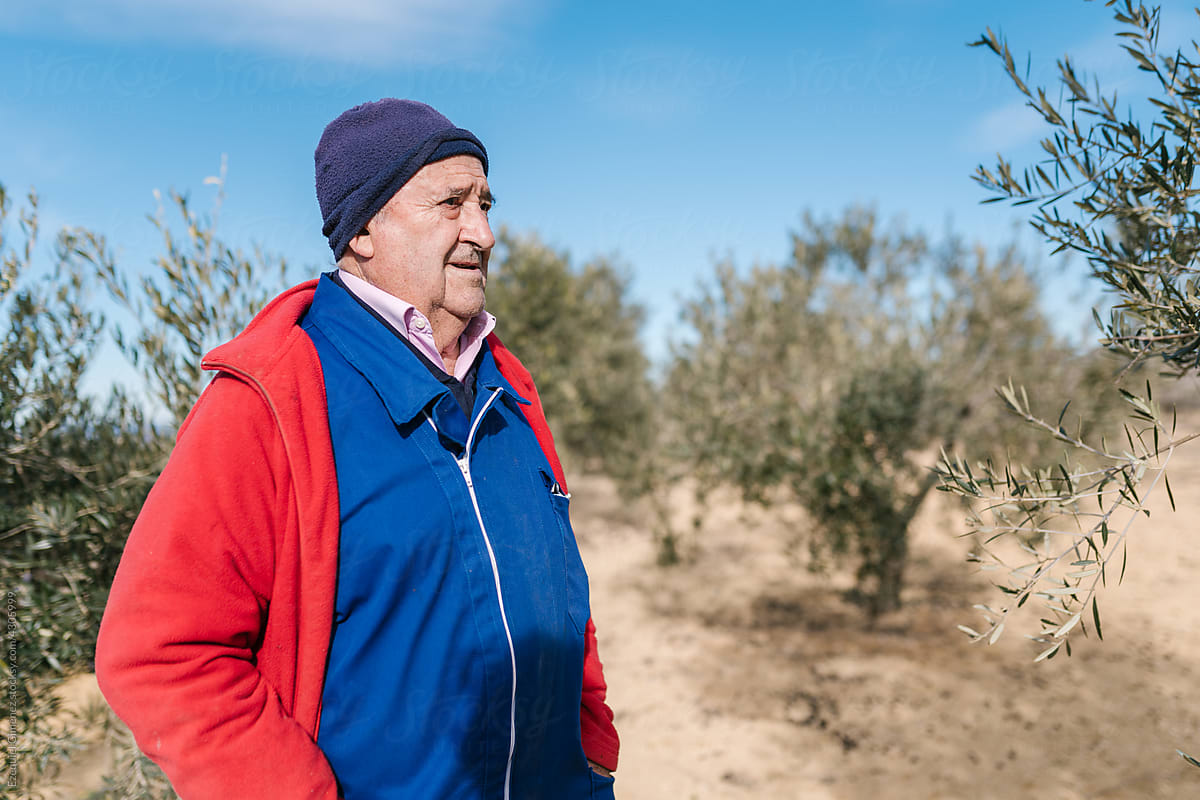 "Senior Male Farmer Standing In Olive Orchard" by Stocksy Contributor ...