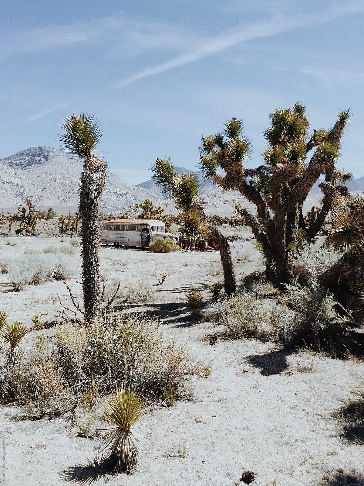 "Old Bus In Joshua Tree Desert" by Stocksy Contributor "Kevin Russ ...
