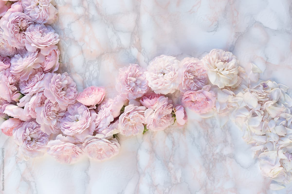 "Flower Decoration Arranged Into An S Curve" by Stocksy Contributor ...