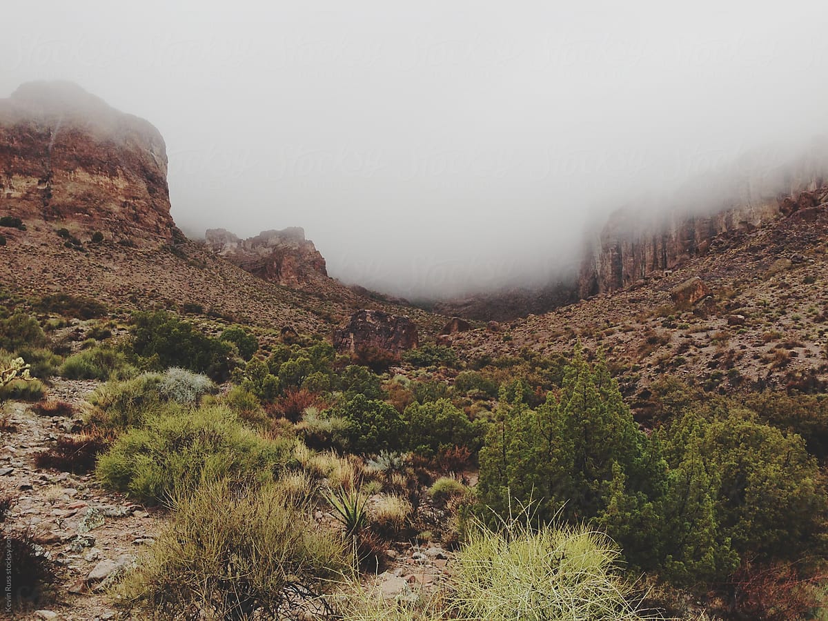 "Lush Desert And Fog" by Stocksy Contributor "Kevin Russ" - Stocksy