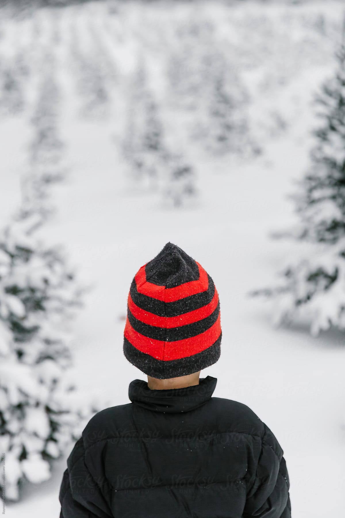 "Boy At Christmas Tree Farm" by Stocksy Contributor "Raymond Forbes LLC ...