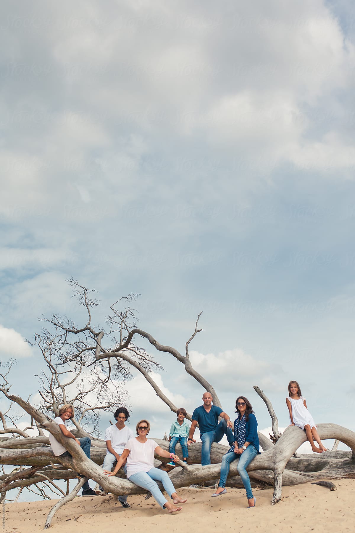 "A Big Family Sitting On Fallen Tree Branches Under A Big Sky" by ...