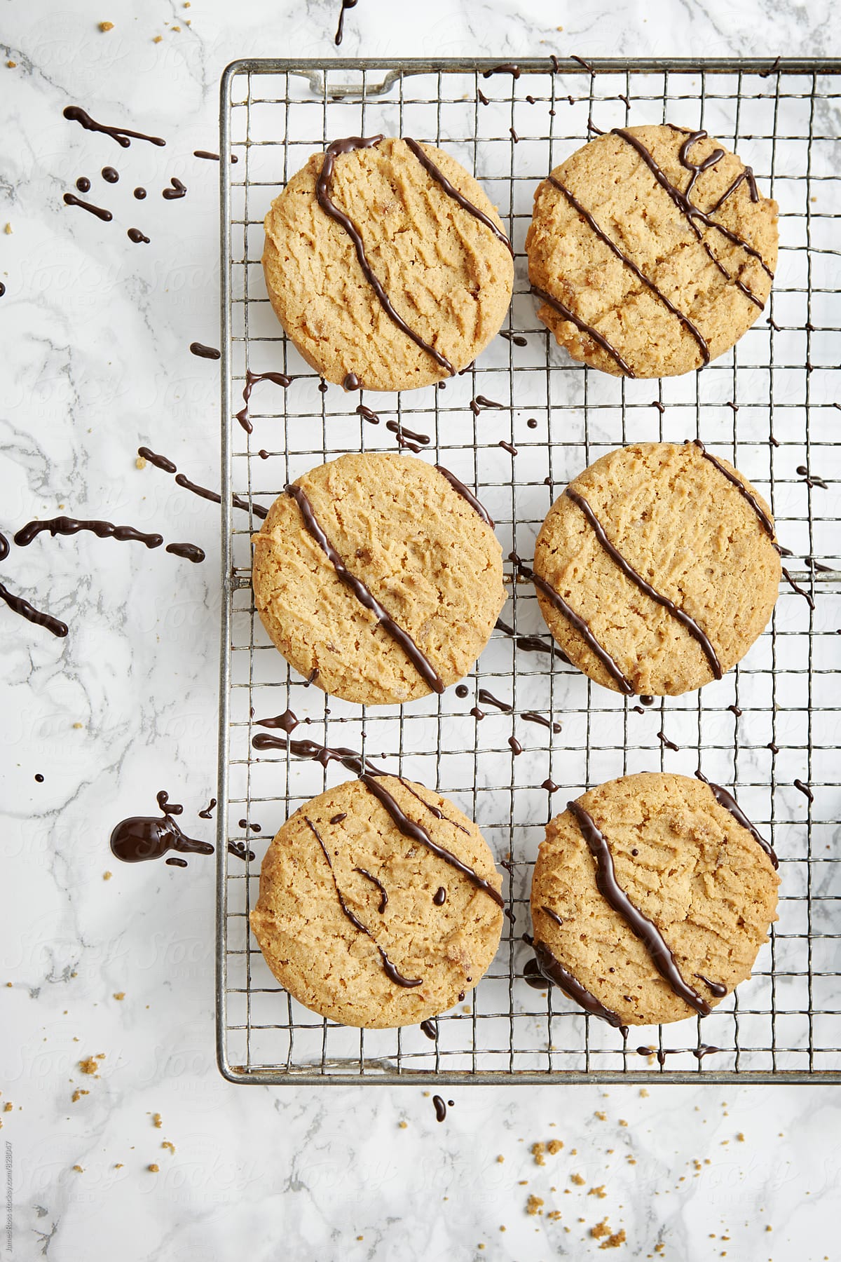"Six Cookies On A Wire Rack" by Stocksy Contributor "James Ross" - Stocksy