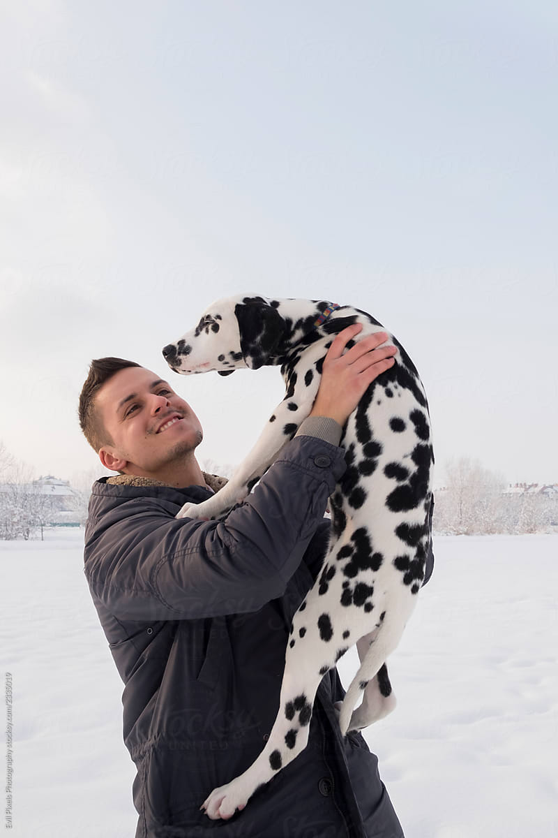 "Man Lifting Dalmatian Dog In Snow" by Stocksy Contributor "Studio KME ...