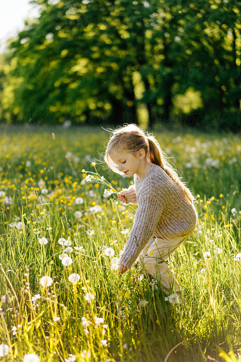 "Child Picking Flowers In Field" by Stocksy Contributor "Sergey ...