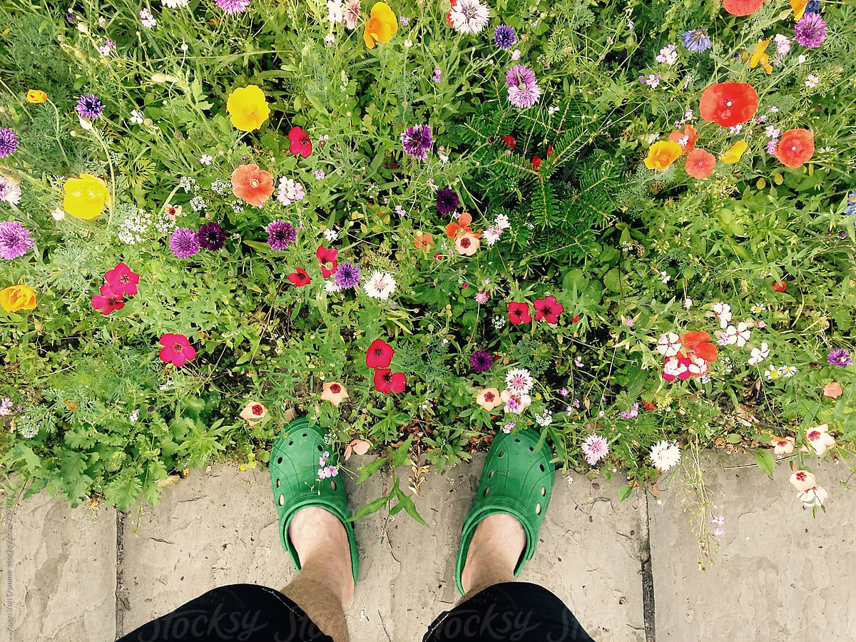 "Flower Bed" by Stocksy Contributor "Koen Van Damme " - Stocksy