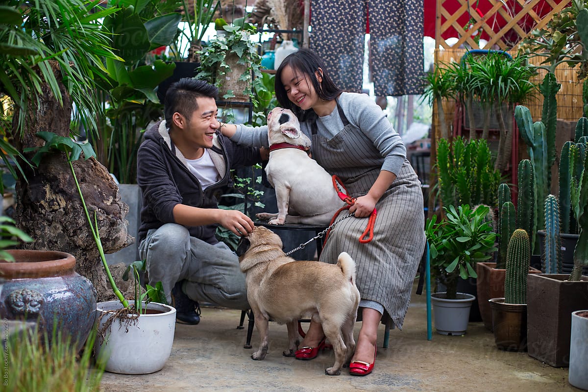 "Happy Asian Couple With Their Dogs" by Stocksy Contributor "Bo Bo ...