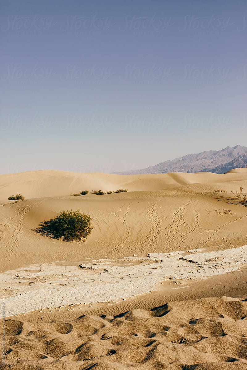 "Death Valley Sand Dunes With Salt Deposits" by Stocksy Contributor ...