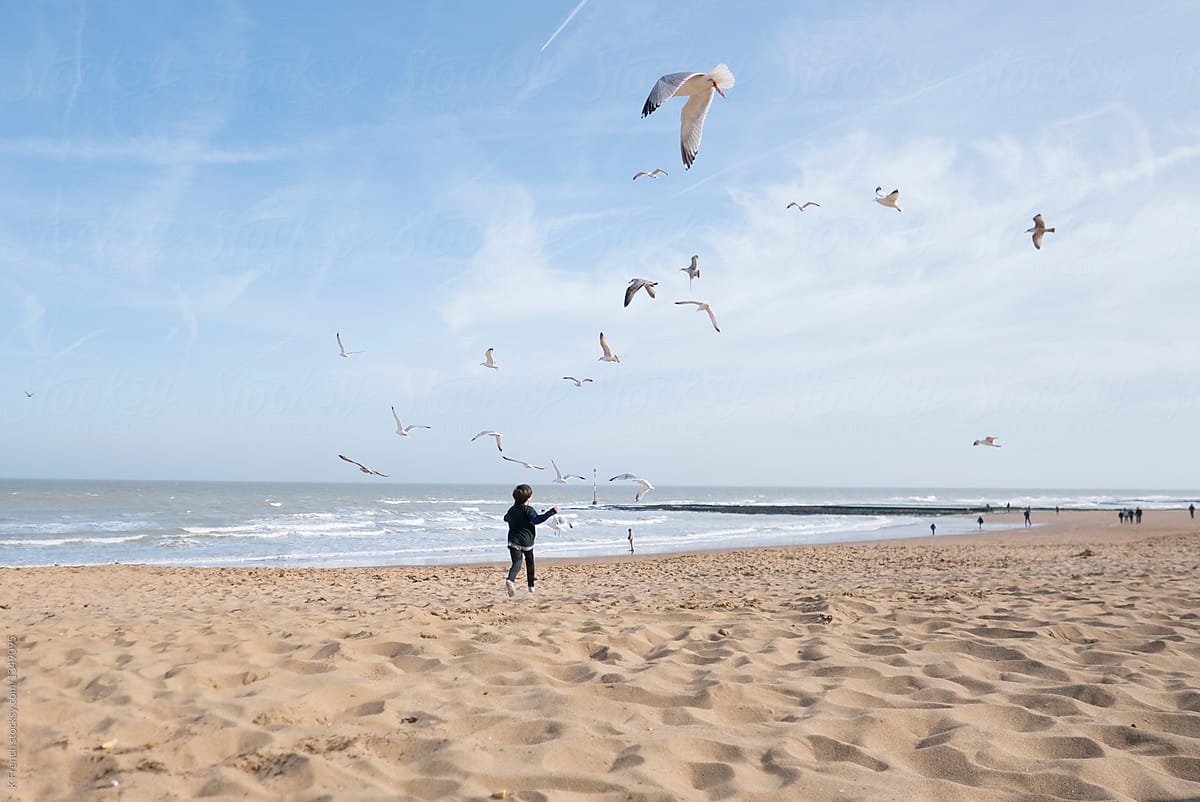 "Boy Chasing Seagulls" by Stocksy Contributor "French Anderson Ltd ...