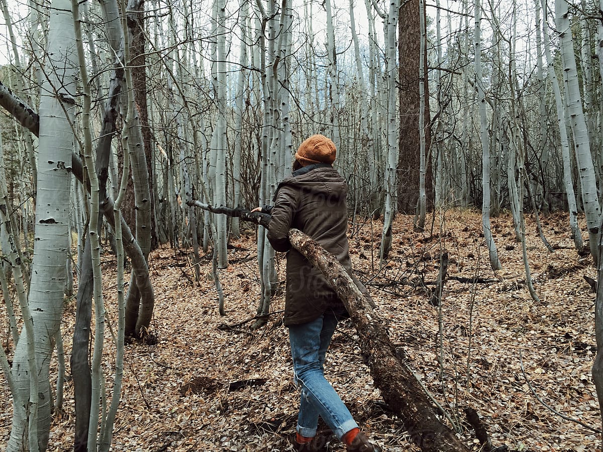 "Carrying A Tree To Build A Fort" by Stocksy Contributor "Kevin Russ ...