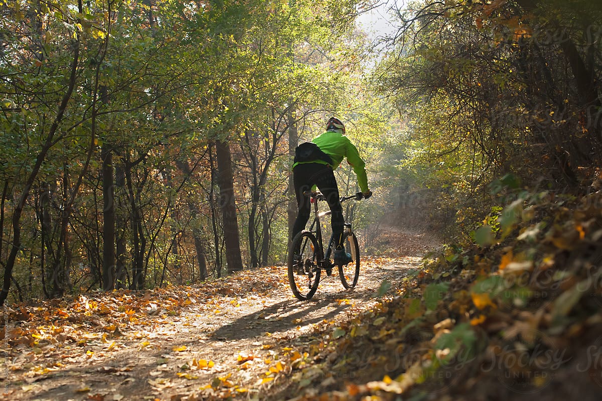 "Riding A Mountain Bike On A Forest Path" by Stocksy Contributor ...