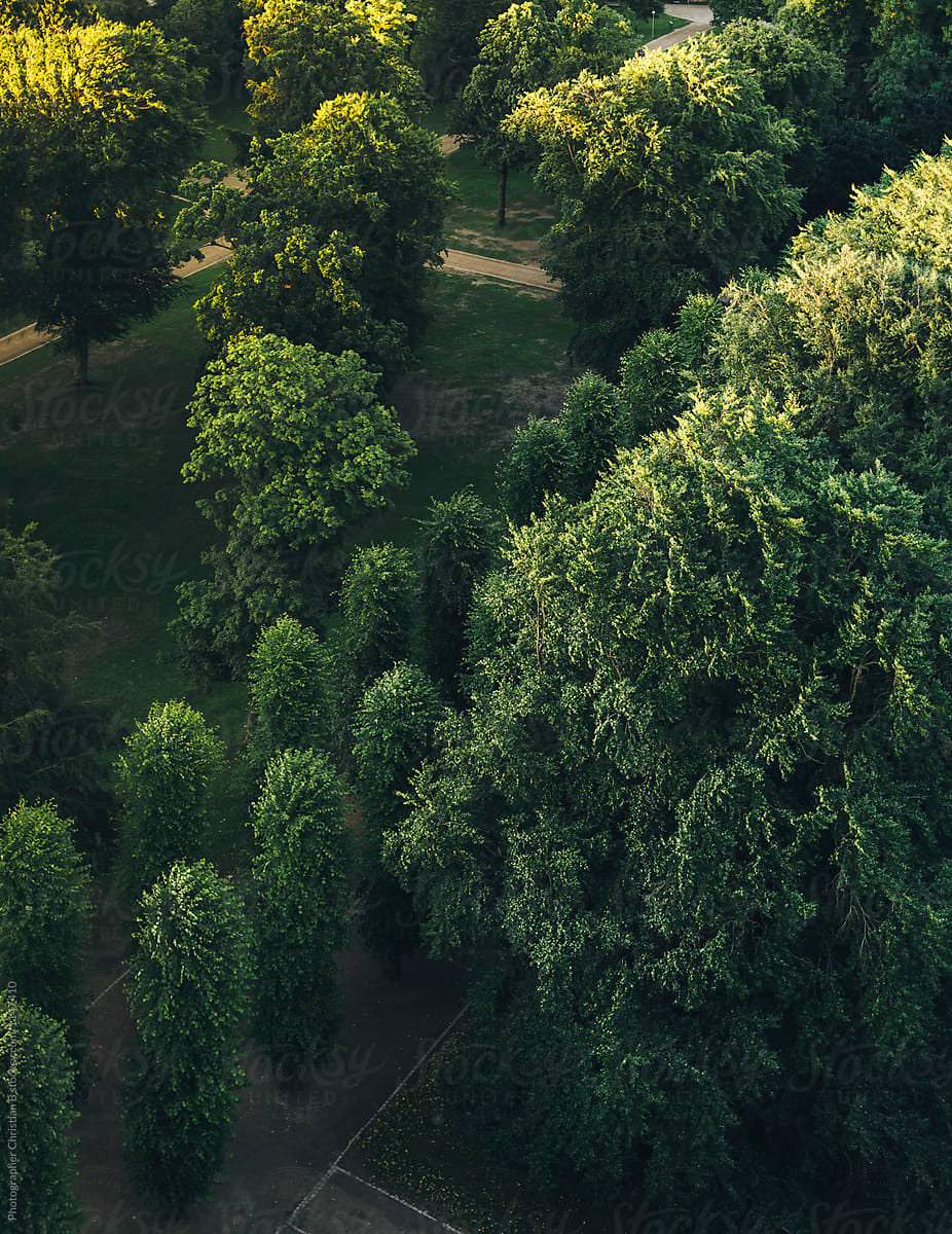"Sunset From Above" by Stocksy Contributor "Photographer Christian B ...