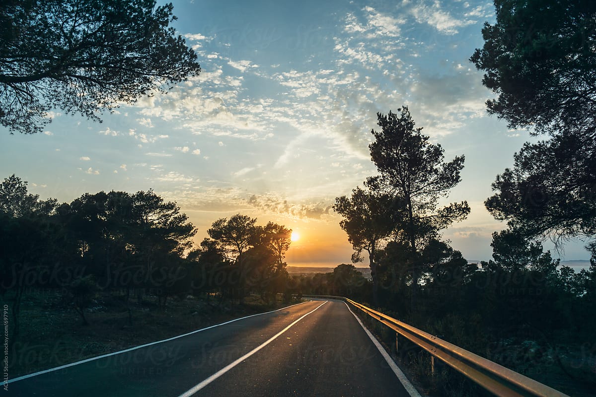 "Road Between Trees At Sunset" by Stocksy Contributor "ACALU Studio ...