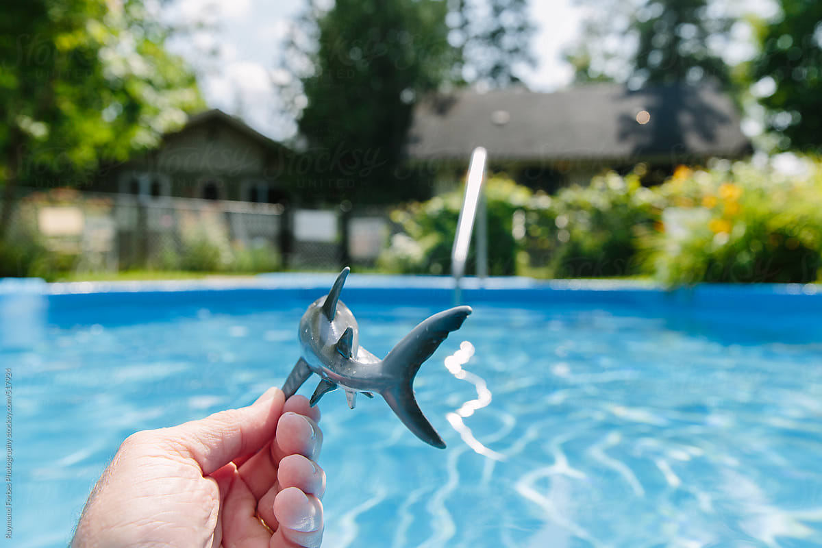 "Toy Shark In Swimming Pool From Parent Perspective" by Stocksy ...