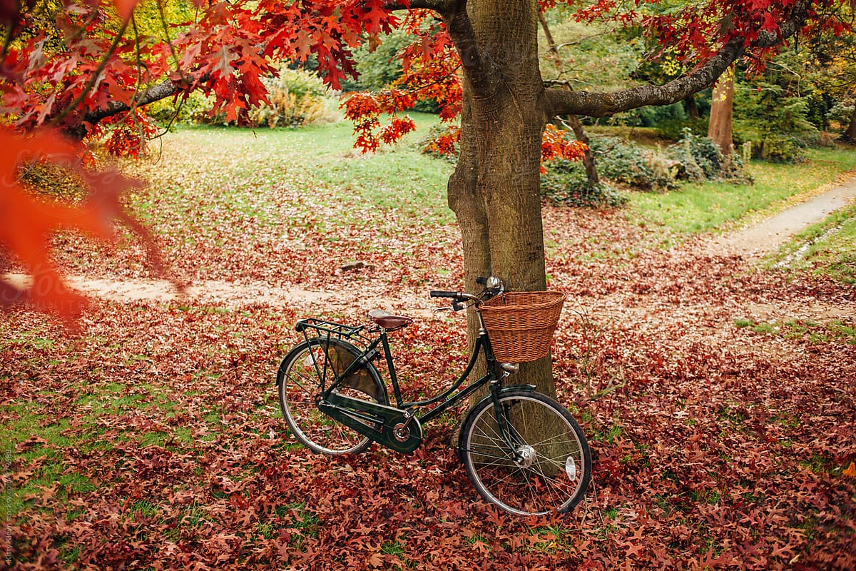 "Bicycle In Autumn" by Stocksy Contributor "Kitty Kleyn" - Stocksy