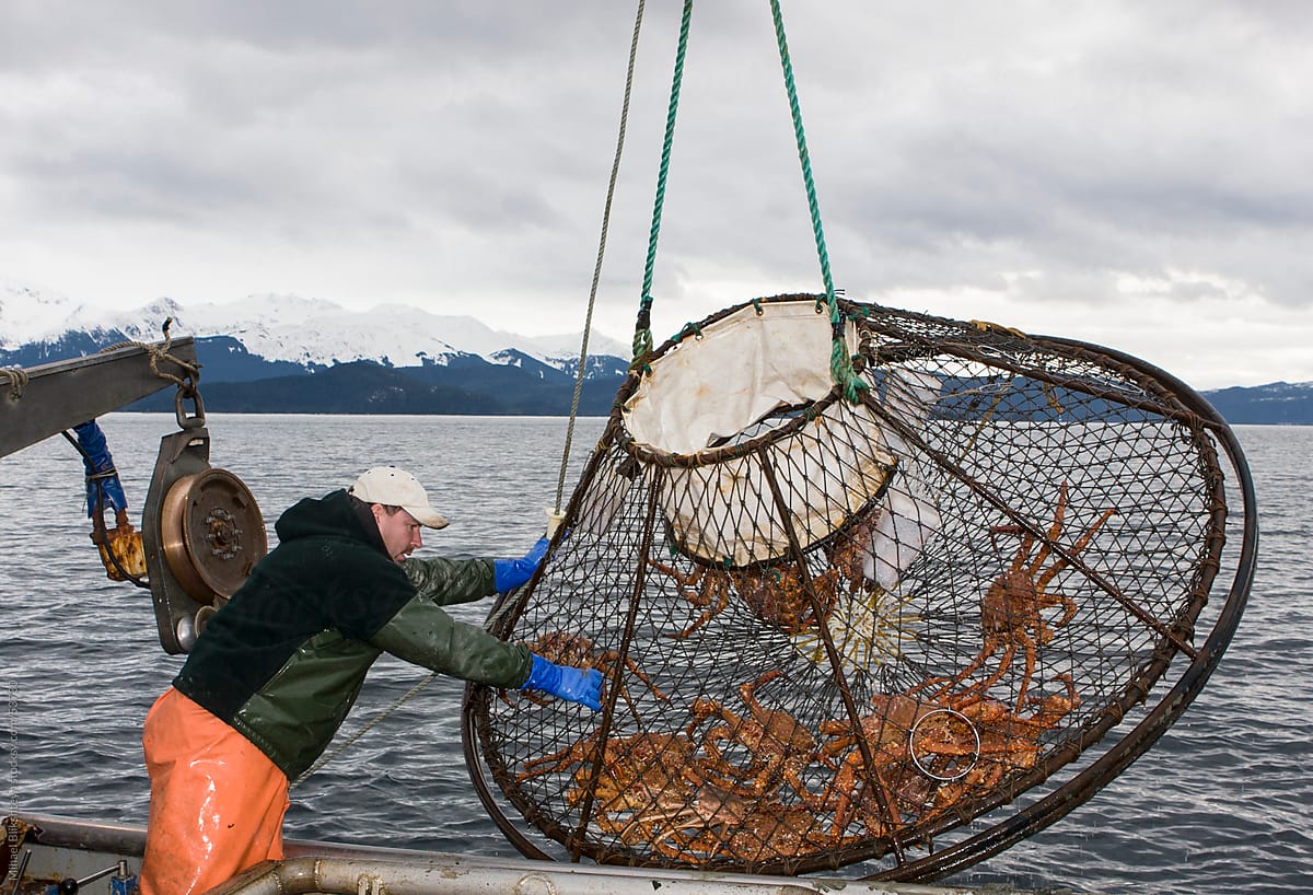 "Commercial Golden King Crab Fisherman In Southeast Alaska" by Stocksy ...