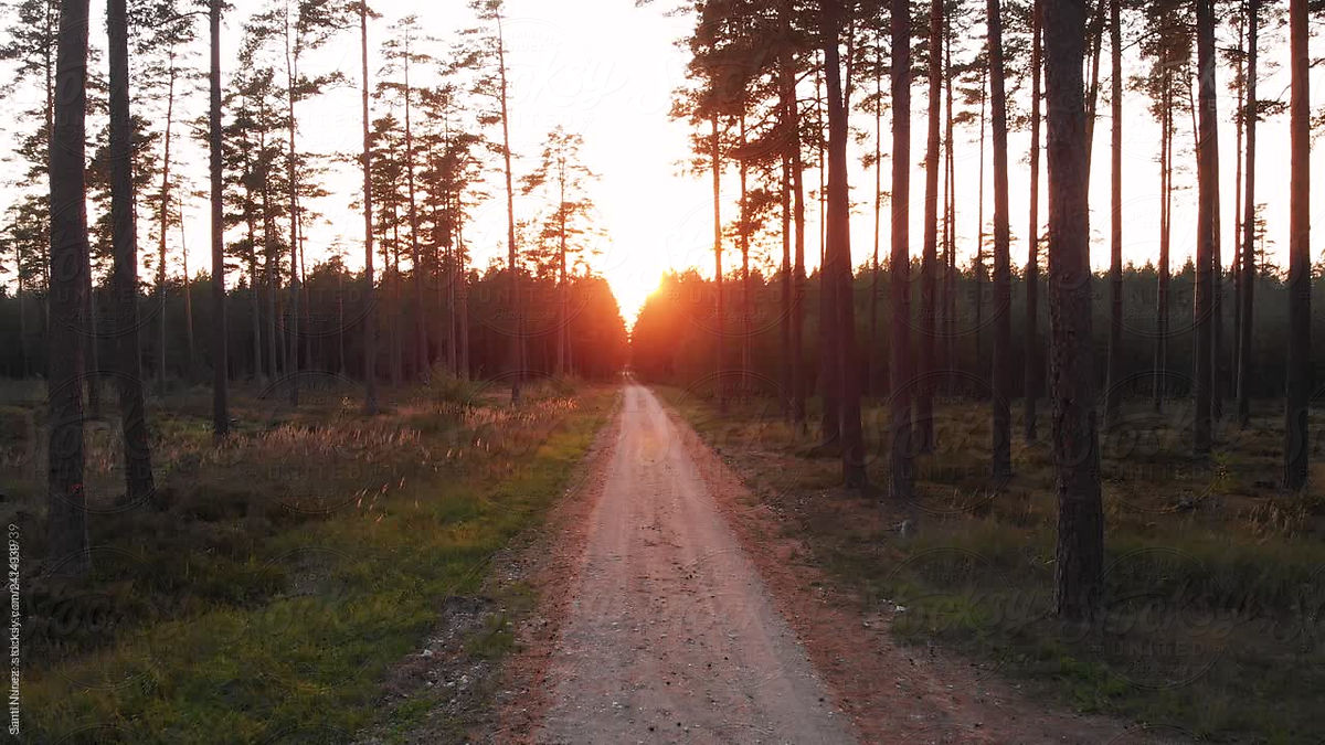 "Very Happy Young Man Running In The Forest. Happiness Concept" by ...