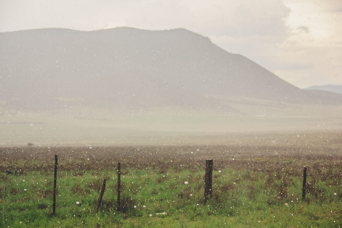 "Forest Trip" by Stocksy Contributor "Luis Felix" - Stocksy
