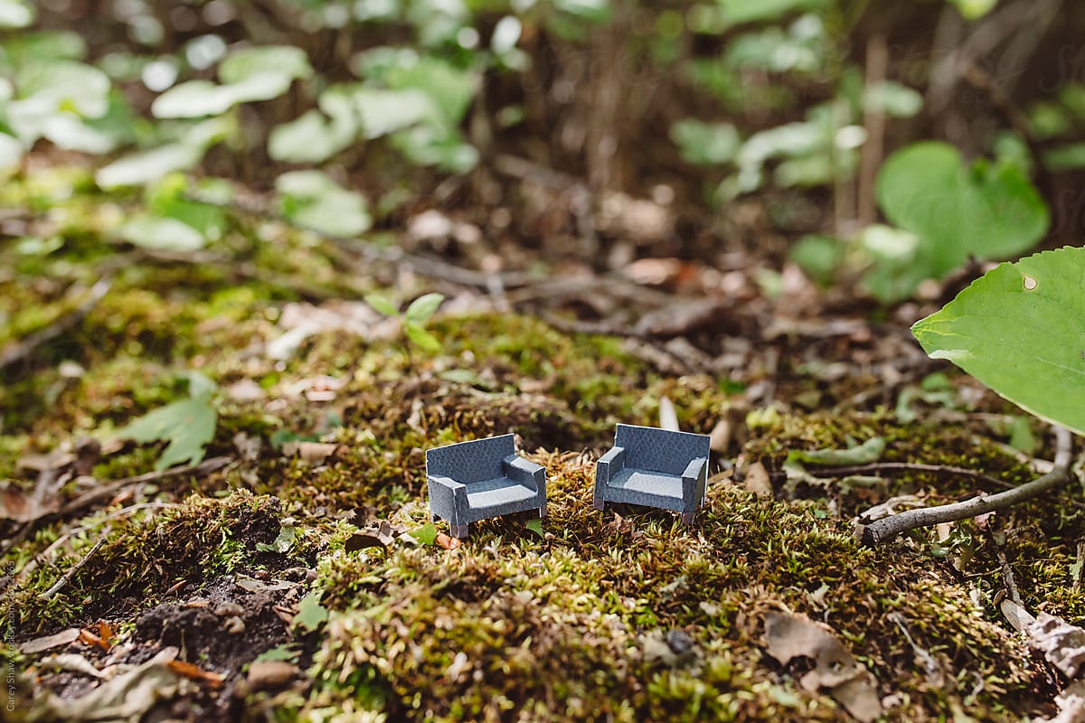 "Tiny Paper Chairs In Secluded Forest" by Stocksy Contributor "Carey ...