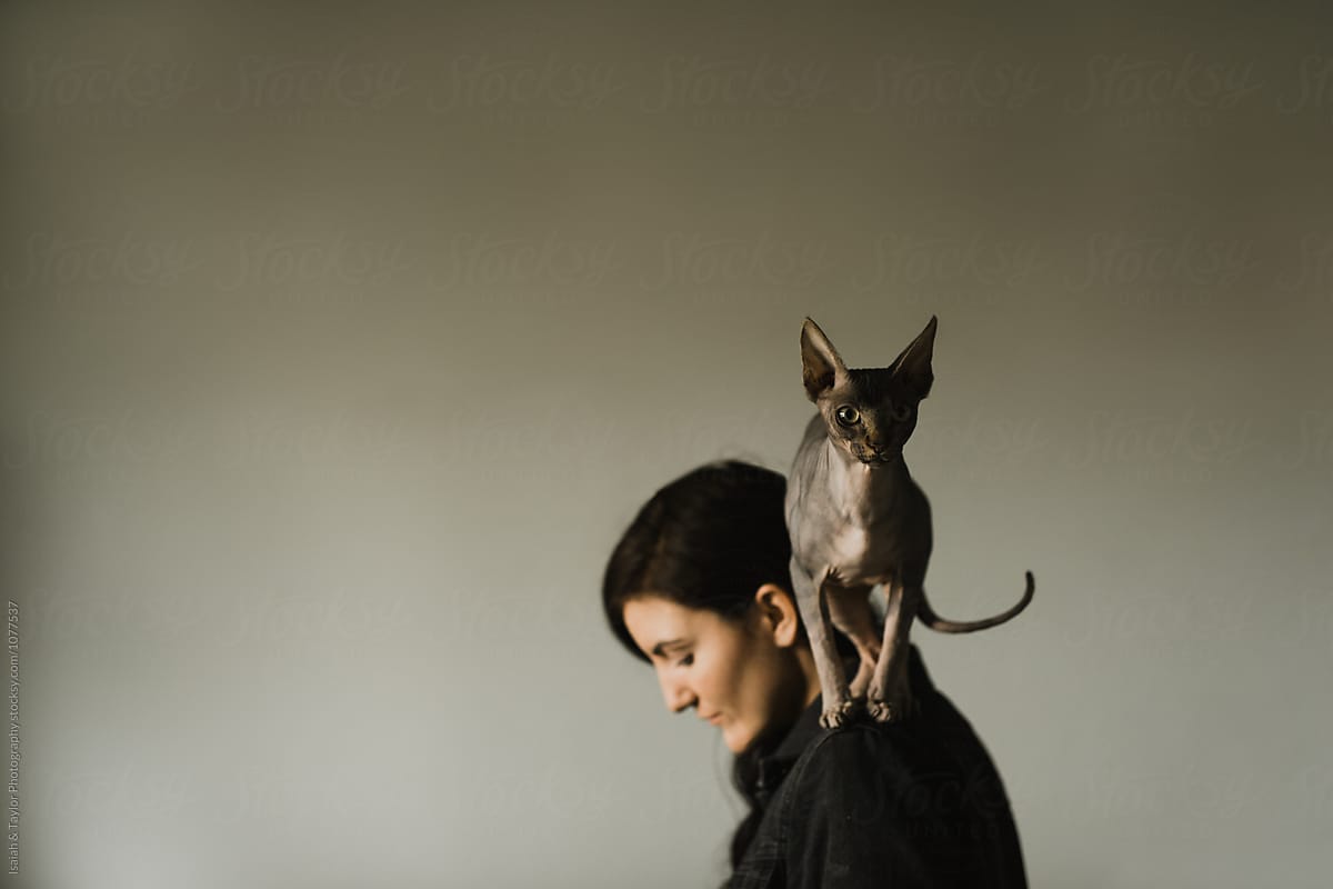 "Cat On Woman" by Stocksy Contributor "itla" - Stocksy