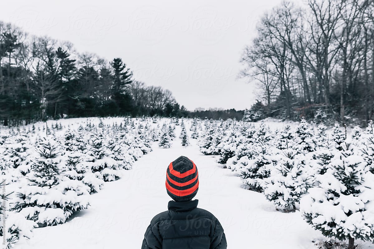"Boy At Christmas Tree Farm" by Stocksy Contributor "Raymond Forbes LLC ...