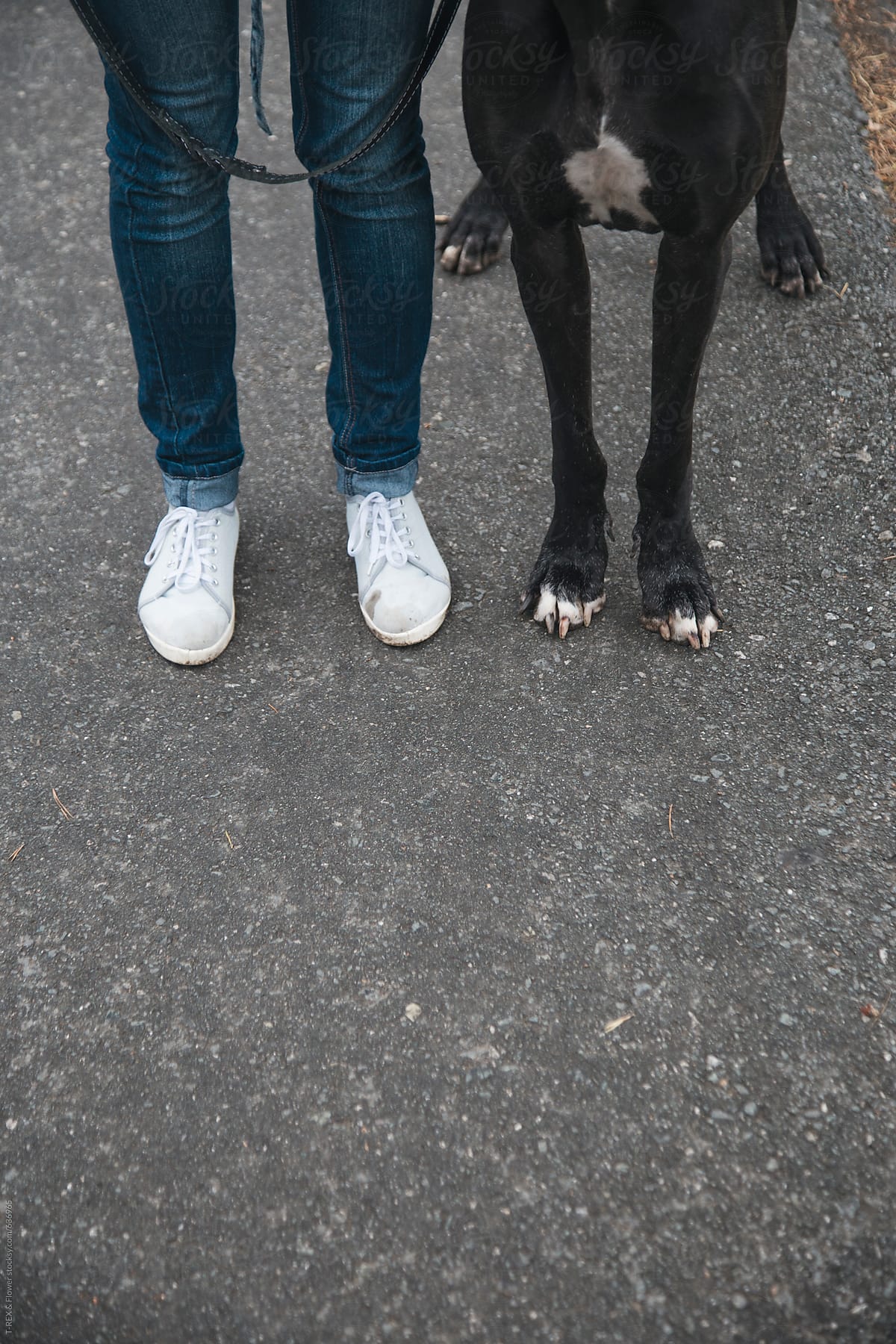 "Dog Paws And Feet Of A Man" by Stocksy Contributor "Danil Nevsky ...
