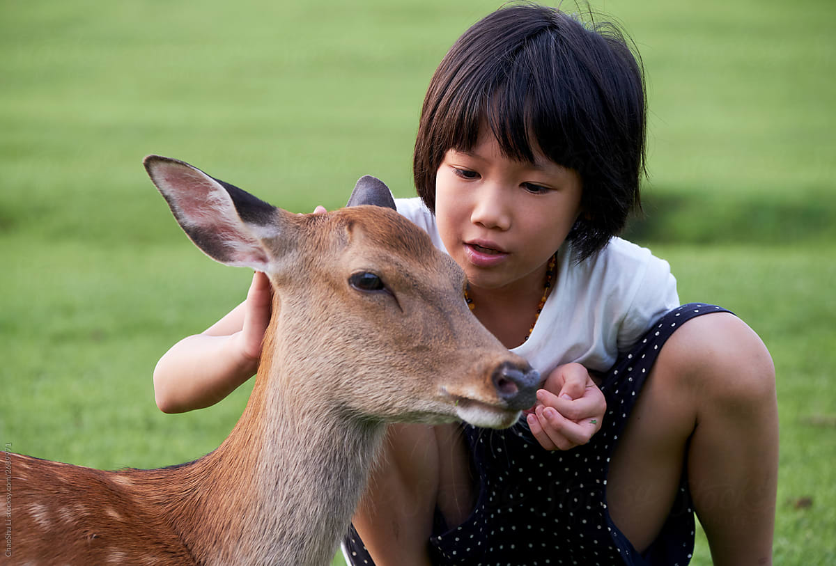 "Asian Little Girl With Sika Deer, In Nara, Japan" by Stocksy ...
