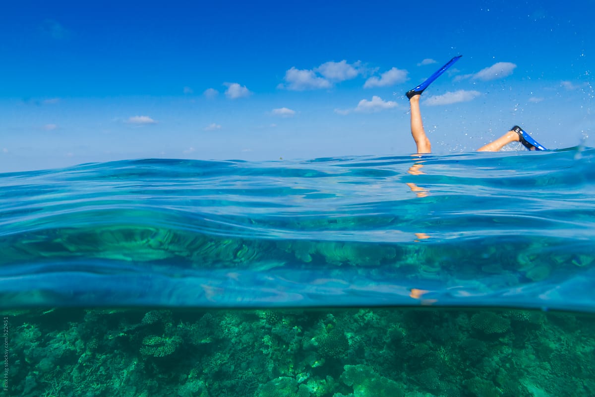 "A Snorkler Diving" by Stocksy Contributor "Eyes on Asia" - Stocksy