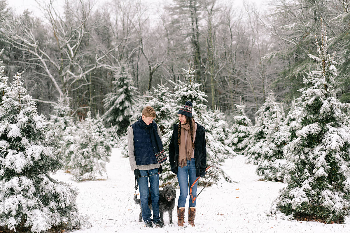 Young people getting a Christmas tree - Stock Image - Everypixel