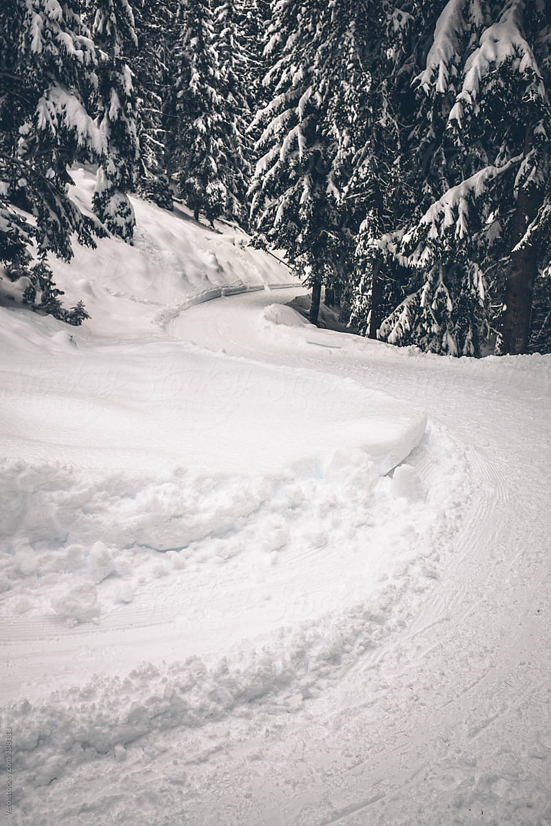 "Sled Track" by Stocksy Contributor "Vero." - Stocksy