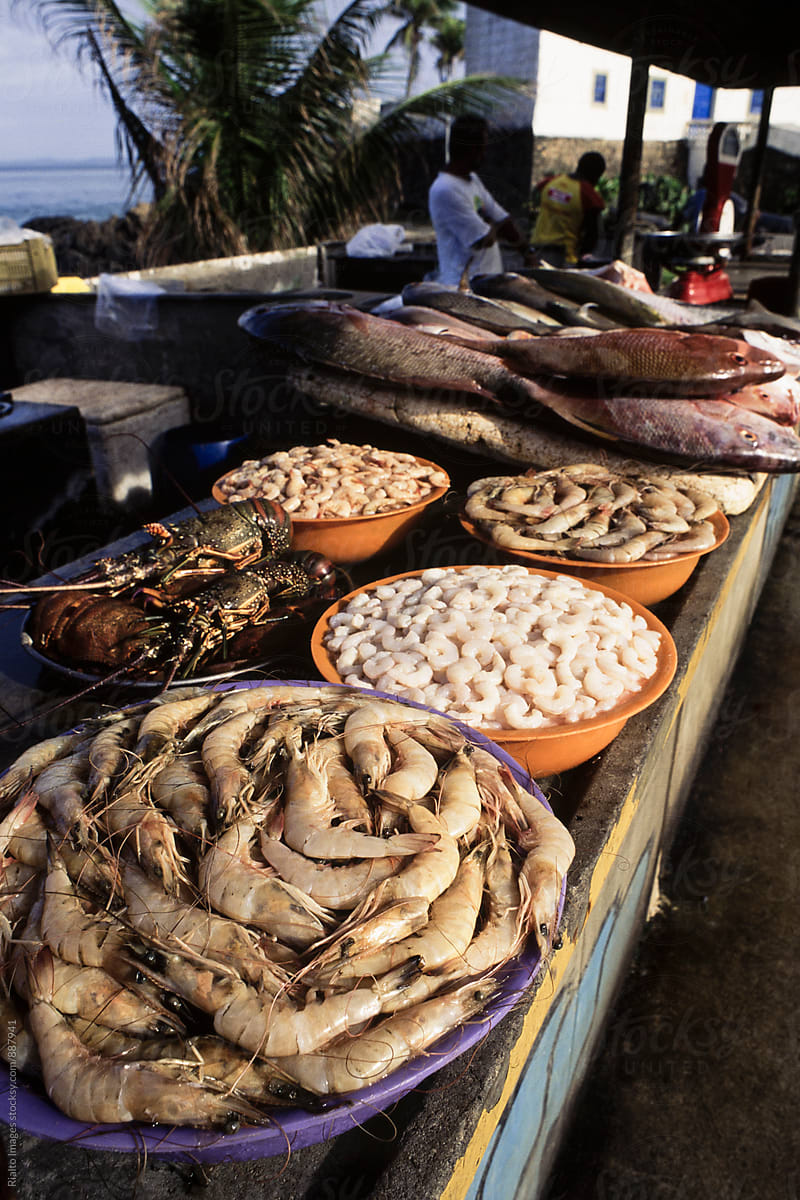 "Seafood For Sale At Outdoor Fish Market, Salvador, Bahia, Brazil" by ...