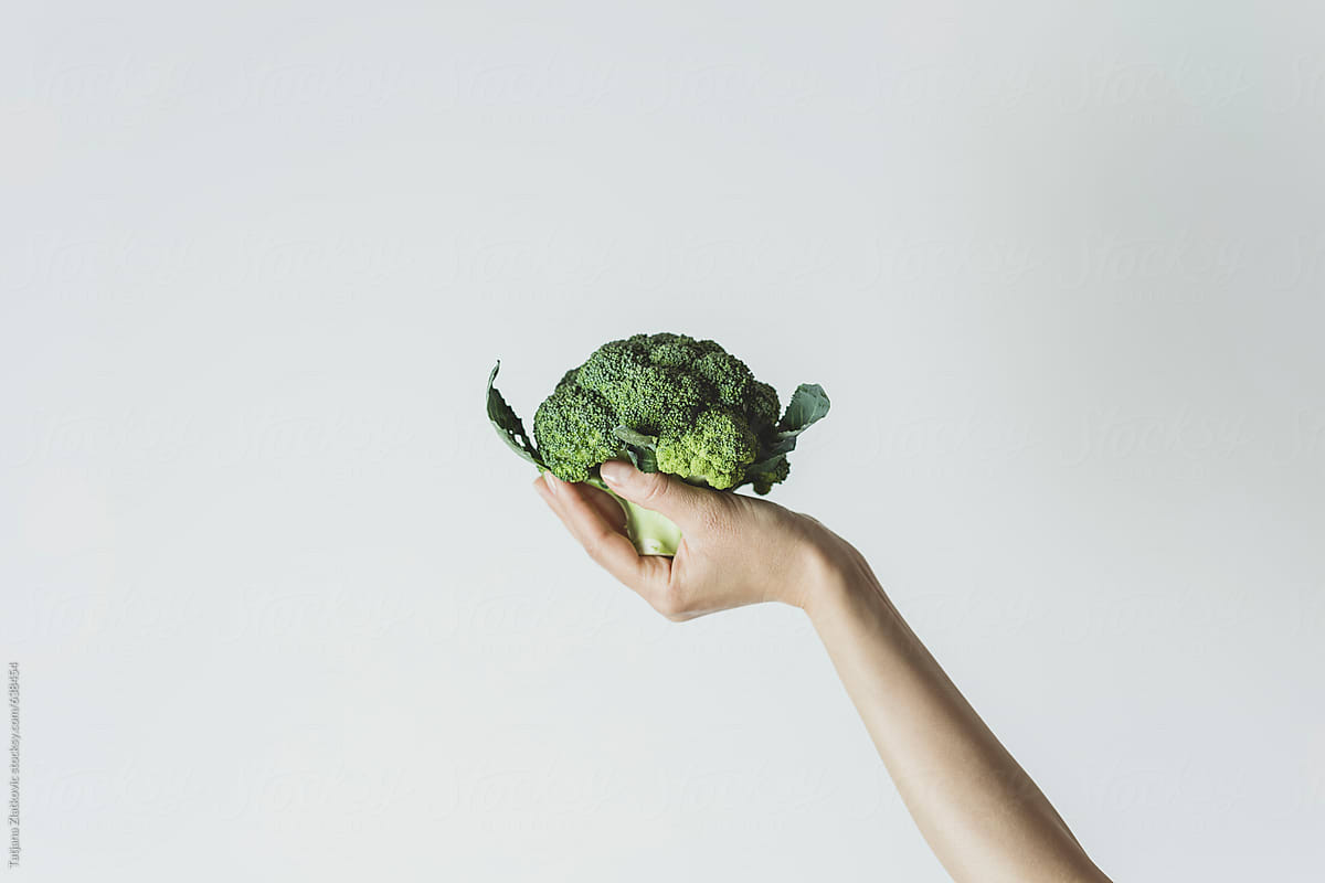"Hand Holding Broccoli" by Stocksy Contributor "Tatjana Zlatkovic ...