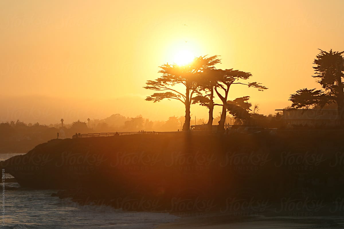 "Sun Going Down Behind Cypress Trees At The Beach" by Stocksy ...