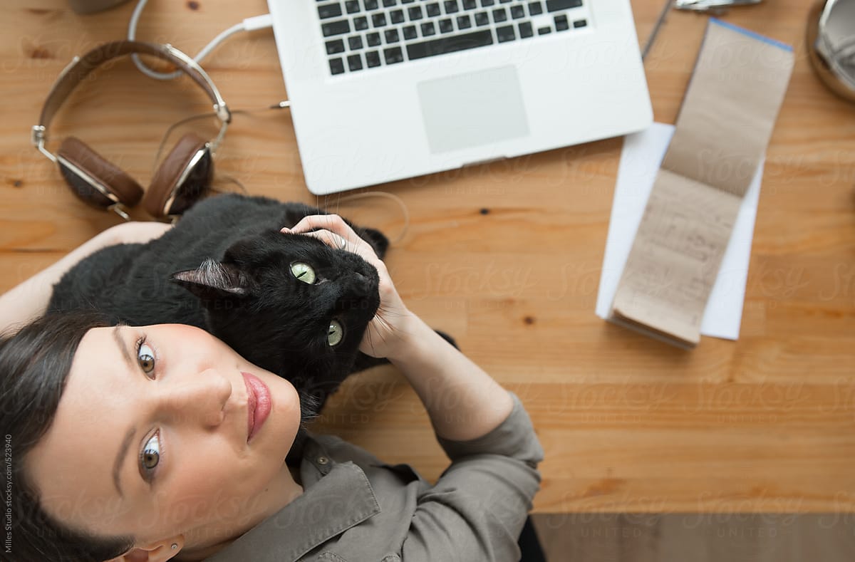 "Cat Sitting On Table And Looking At Camera" by Stocksy Contributor ...