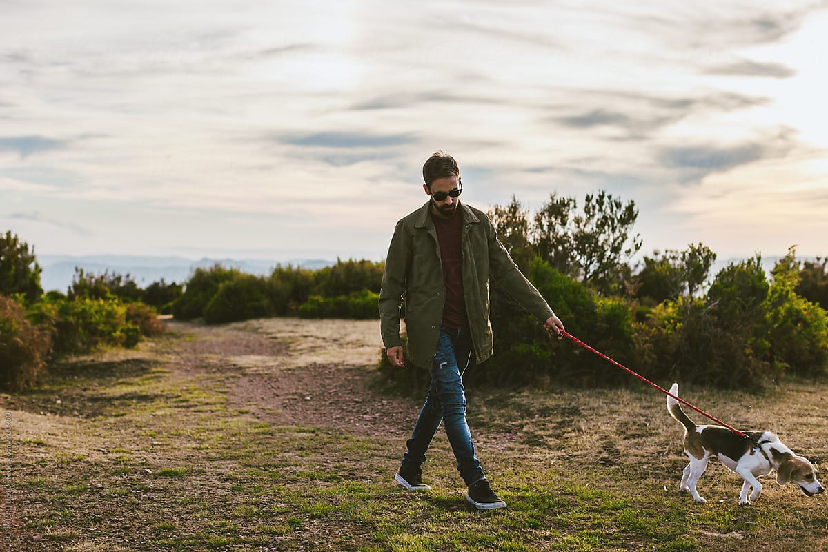 Man Walking With His Beagle Dog On The Mountain By Stocksy Man Walking With His Beagle Dog On The Mountain By Stocksy