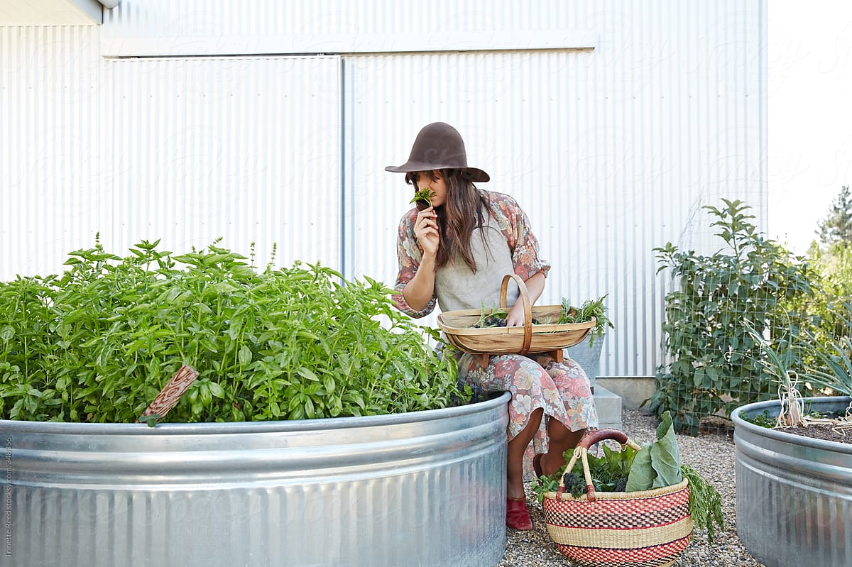 "Woman Gardening In Her Backyard Vegetable Garden" by Stocksy ...