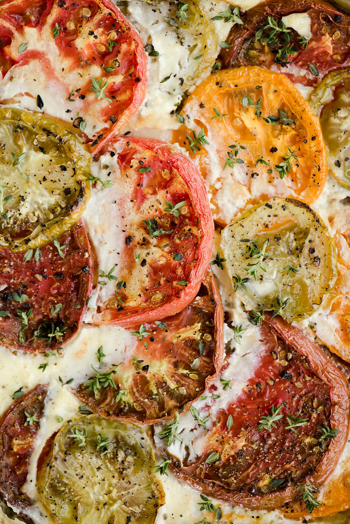 "Tomato Ricotta Pie" by Stocksy Contributor "CWP, LLC" - Stocksy