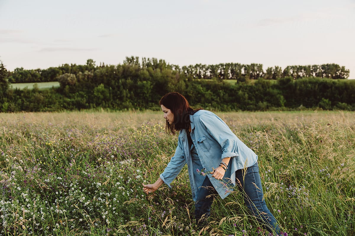 "Woman Picking Wild Flowers From Field" by Stocksy Contributor "Carey ...