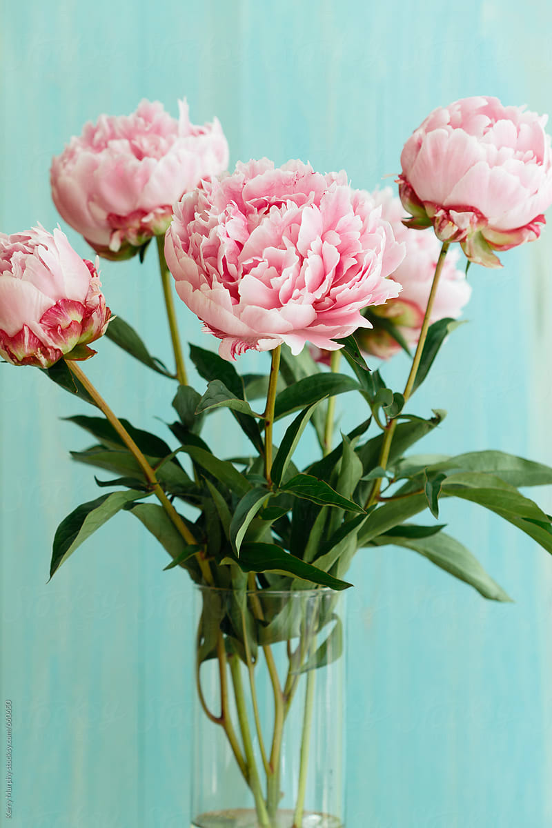 "Close Up Of Pink Peony Flower Bouquet" by Stocksy Contributor "Kerry ...