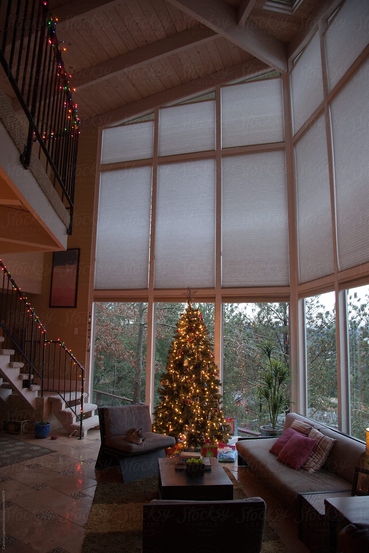 Christmas Tree In House Window