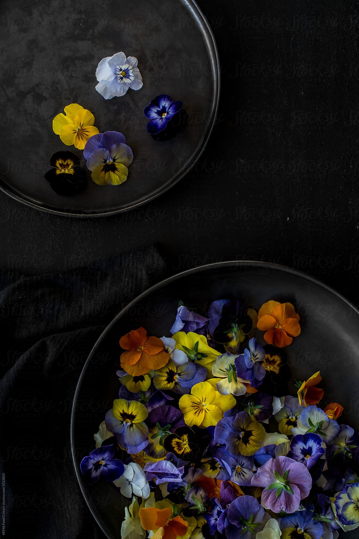"Edible Flowers" by Stocksy Contributor "Marta Mauri" - Stocksy