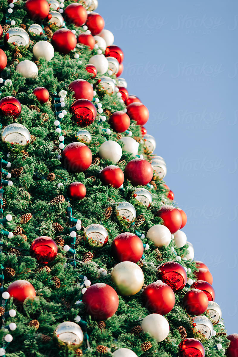 "Christmas Tree" by Stocksy Contributor "Alexey Kuzma" - Stocksy