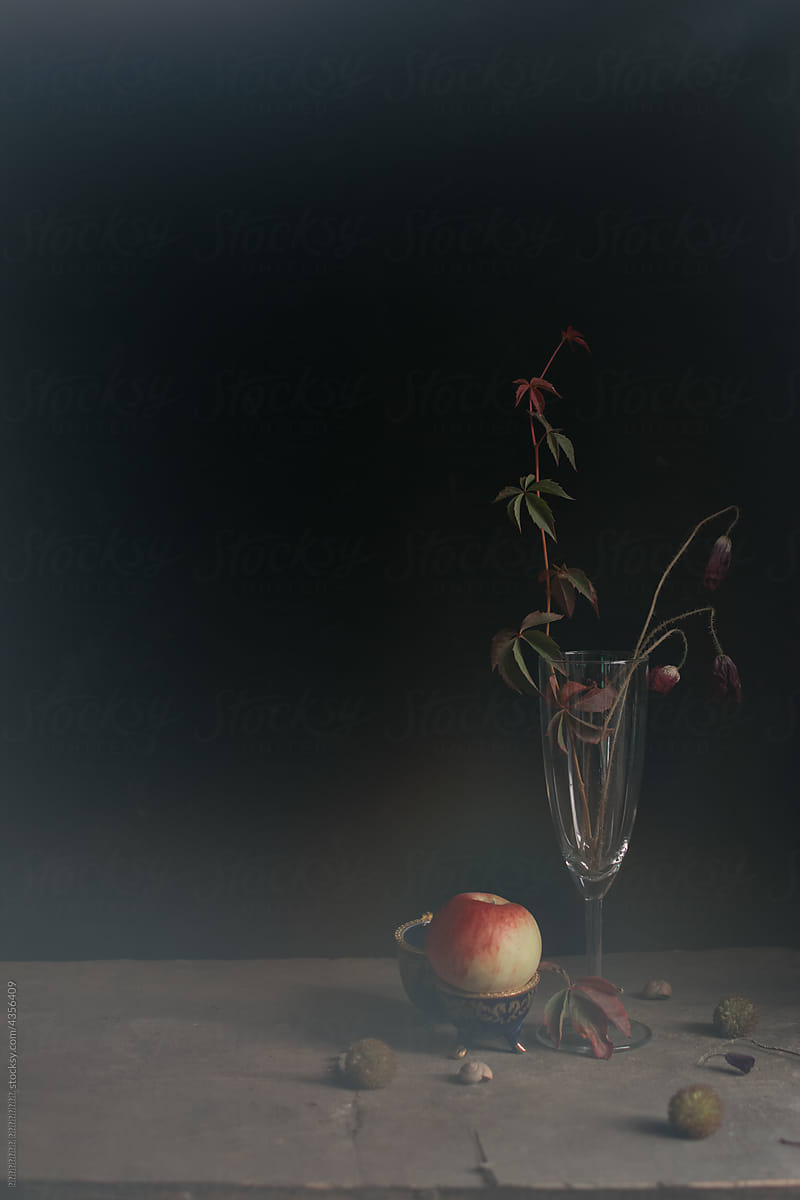 "Unusual Still Life" by Stocksy Contributor "Svetlana Boboshina" - Stocksy